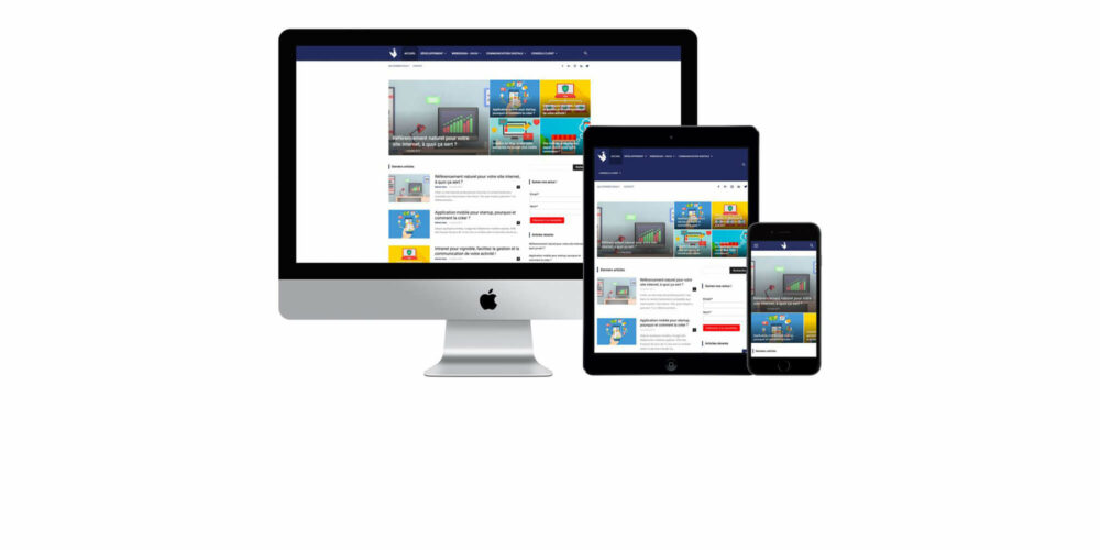 Les différents type de Site Web - Le Web Francais